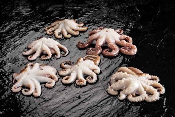 Babyoktopus aus Wildfang – Zart, aromatisch, nachhaltig