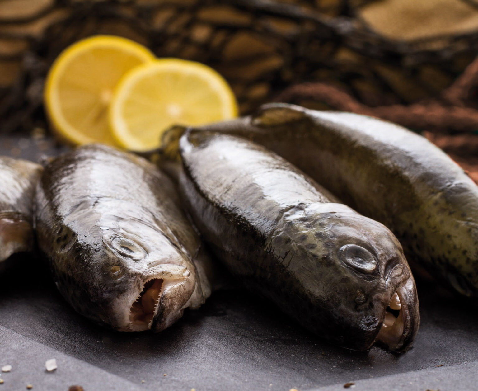 Fisch online kaufen. [100% Premium Qualität] - TellerMitte.de